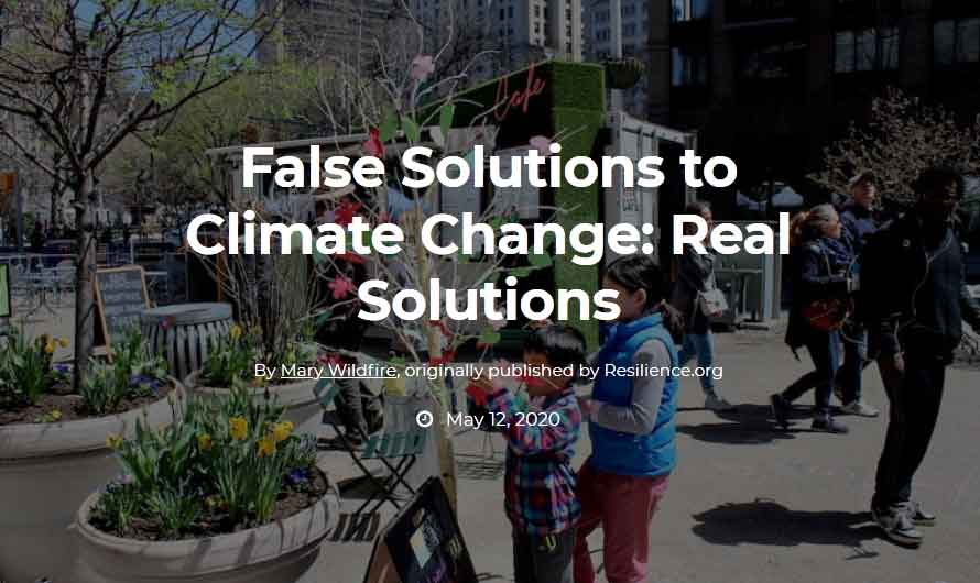 False Solutions to Climate Change: Real Solutions - Going Solar